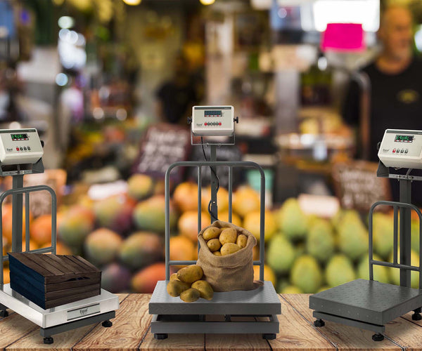 Seven Things to Consider When Buying Weight Machines – Equal